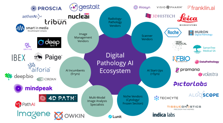 Why Digital Pathology’s Ecosystem Won’t Support AI Startups ...